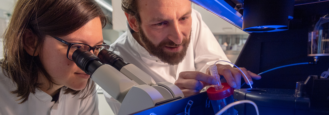 Startseite - TUM School of Medicine and Health